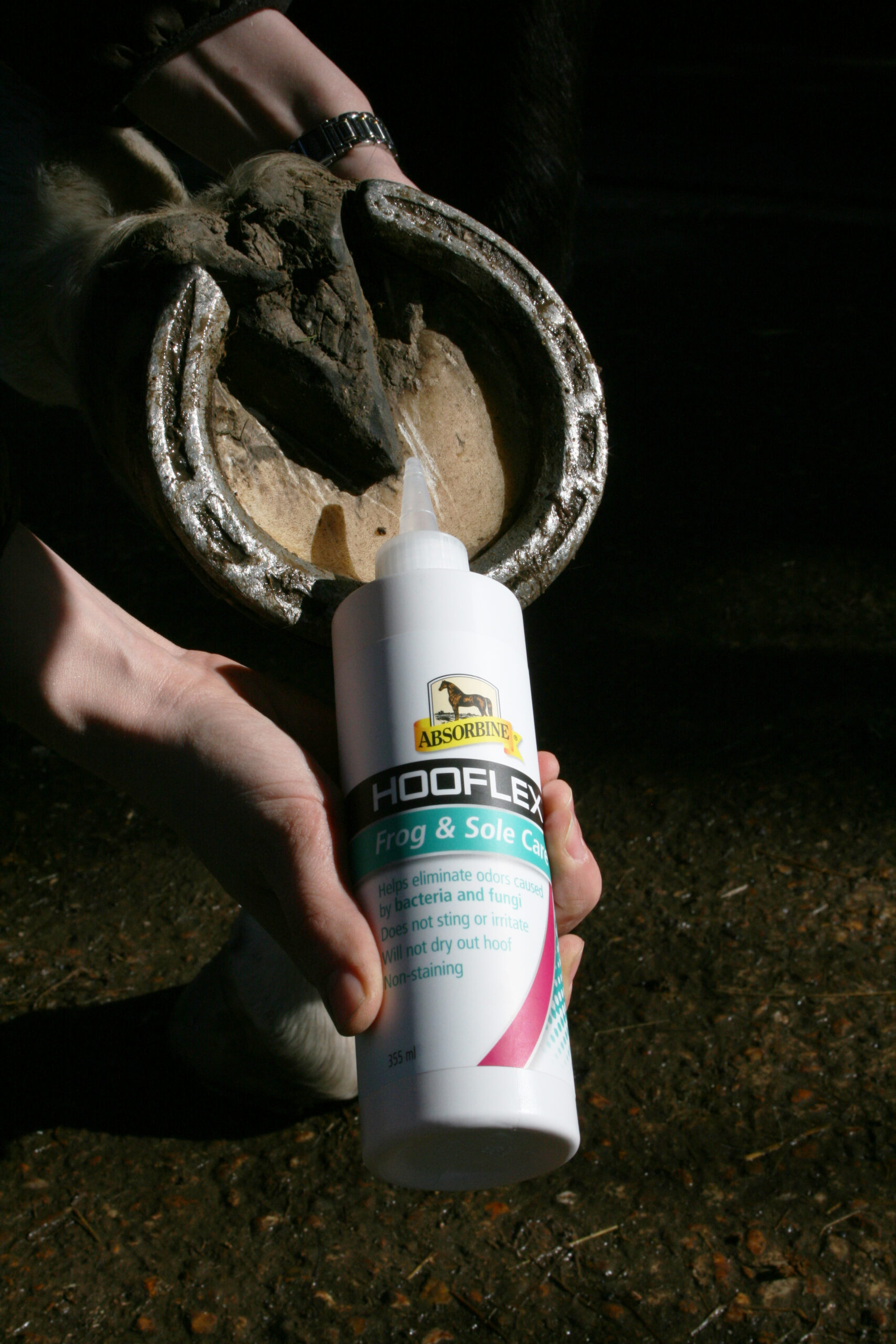 Plan your Winter Hoof Care Strategy Now! - Absorbine