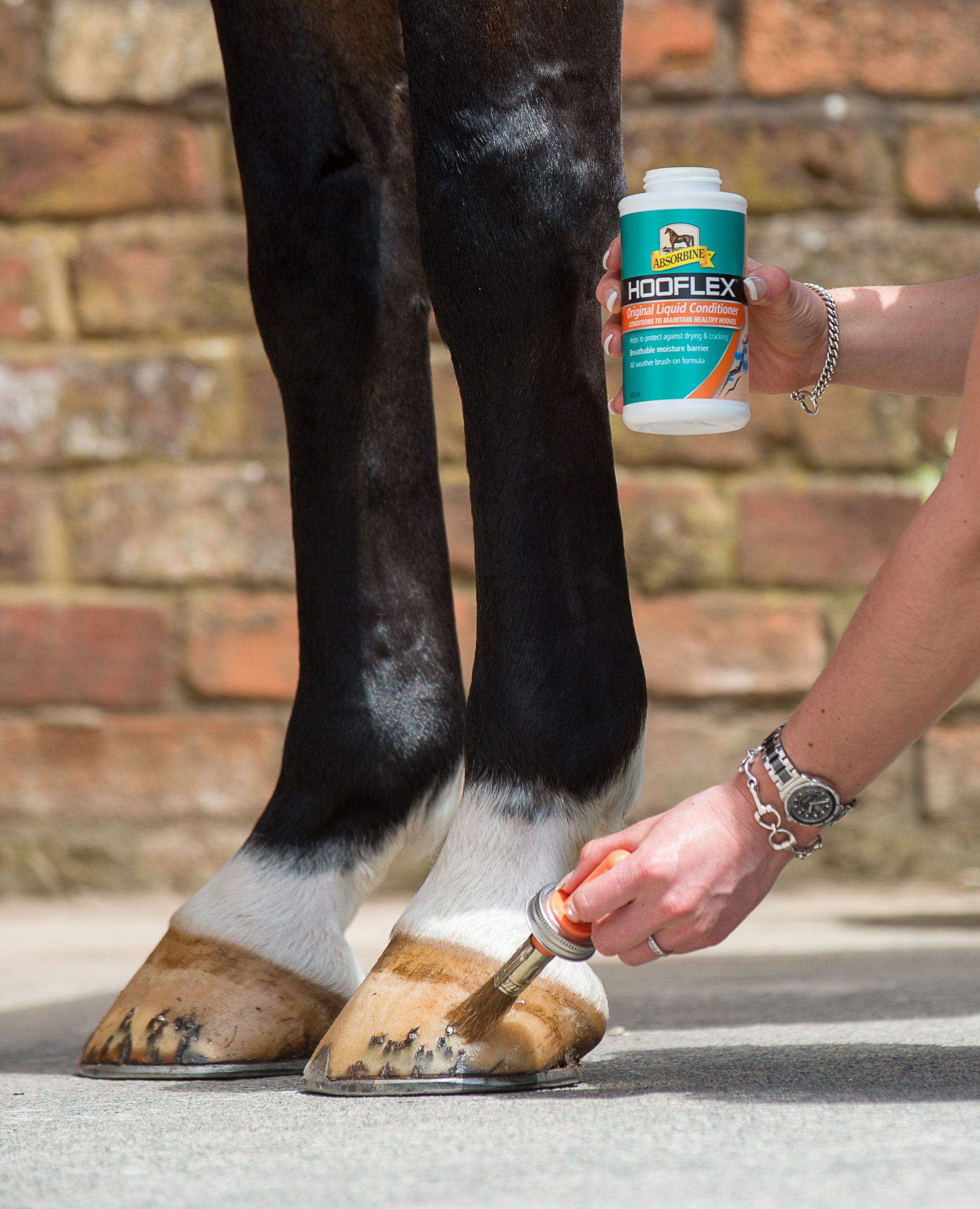 Plan your Winter Hoof Care Strategy Now! - Absorbine