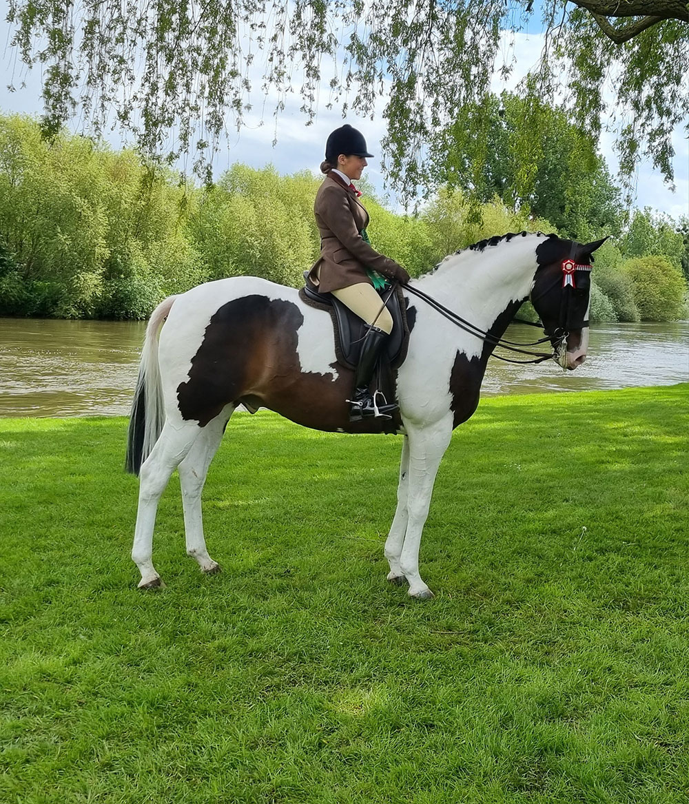 Royal Windsor - Absorbine